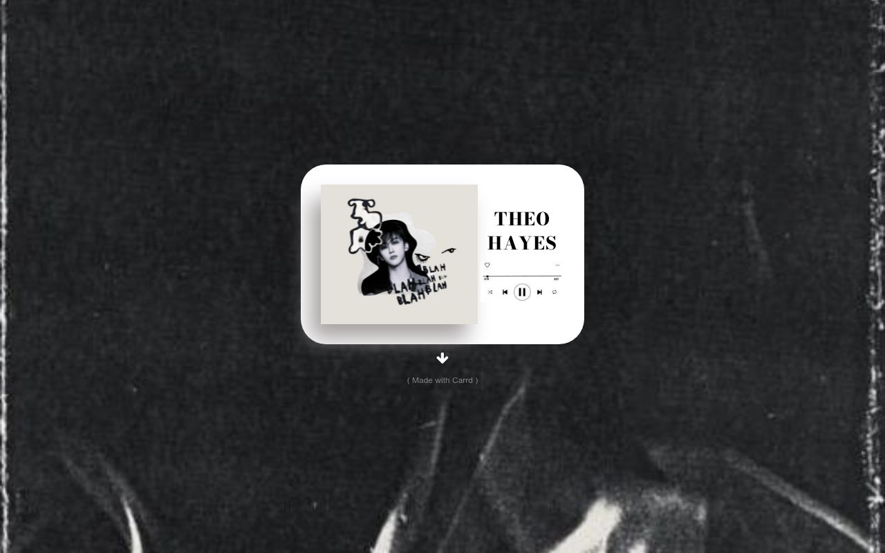 Persona of Theo Hayes